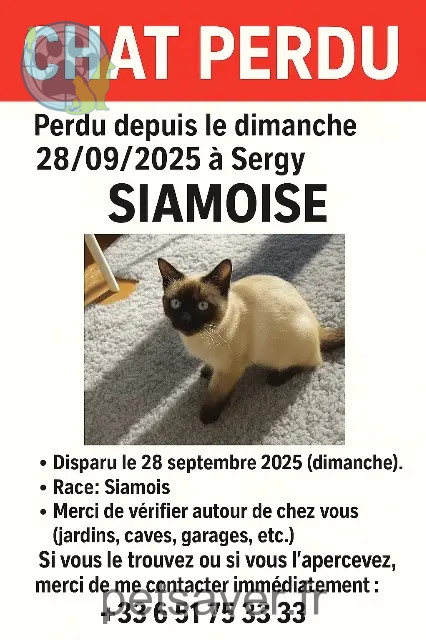chat-perdu-01-Ain-Lechat-OiTQ8hSHkS.jpg